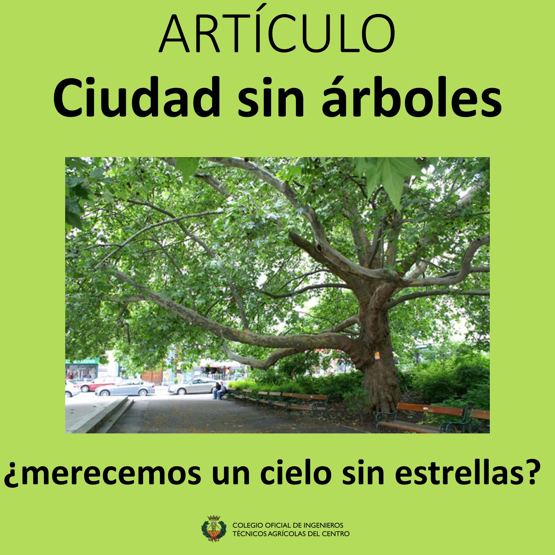 Artículo: Ciudad sin árboles: ¿merecemos un cielo sin estrellas ...