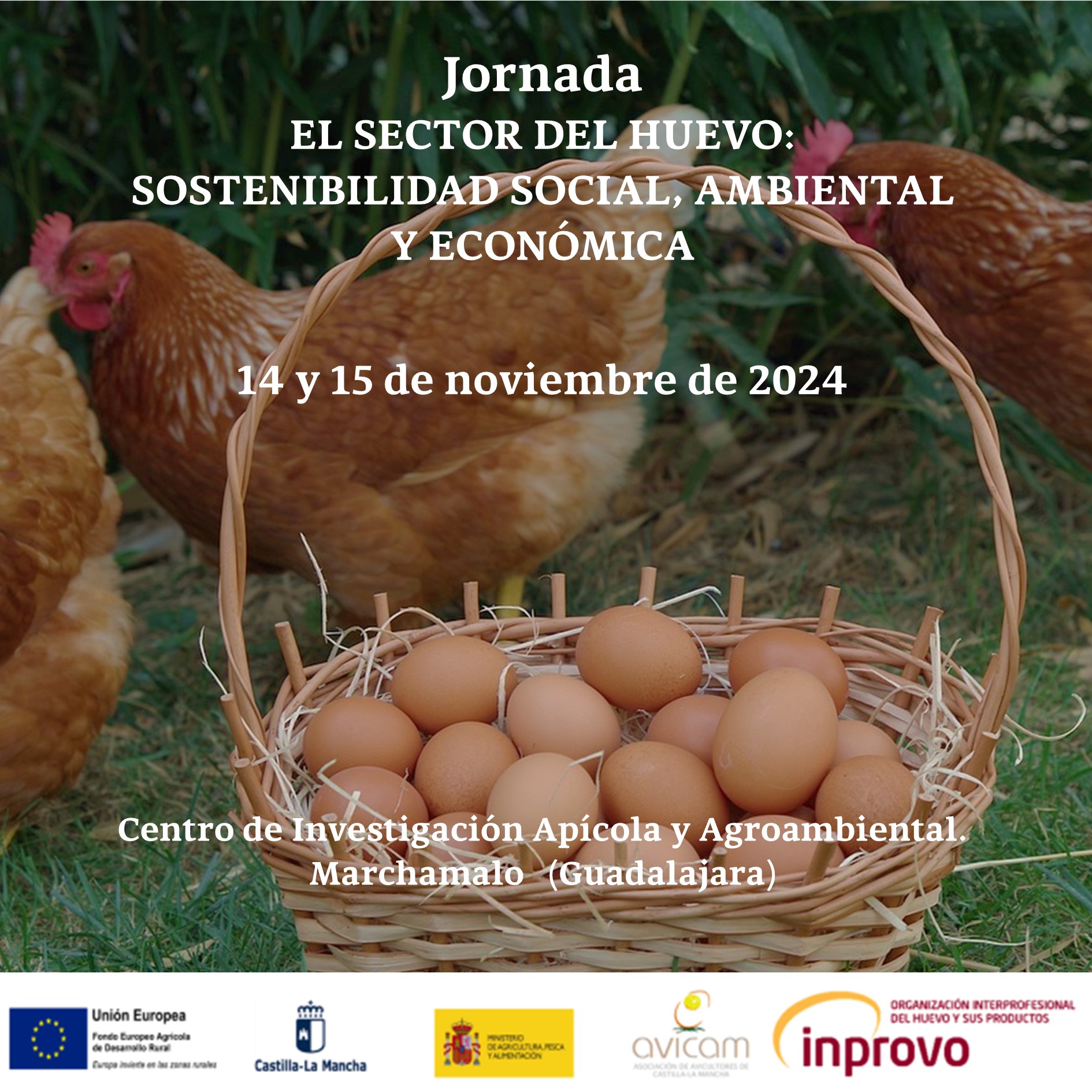 Jornada - El Sector del huevo: sostenibilidad social, ambiental y ...